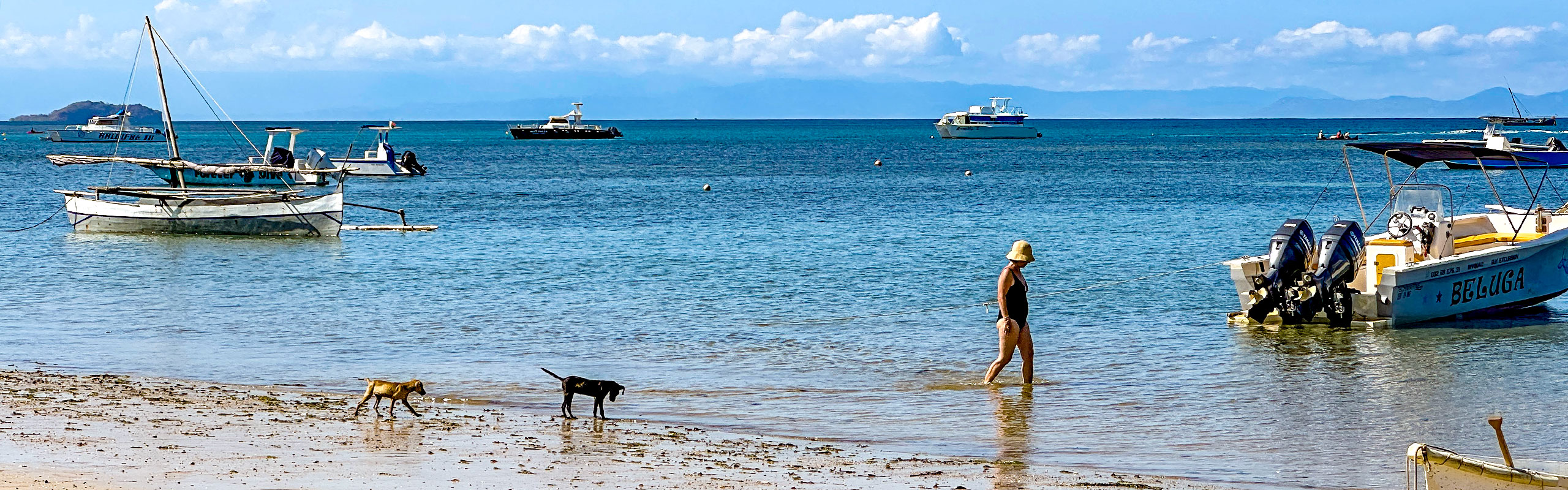 Mozambique Tours: Best Private Holiday Packages